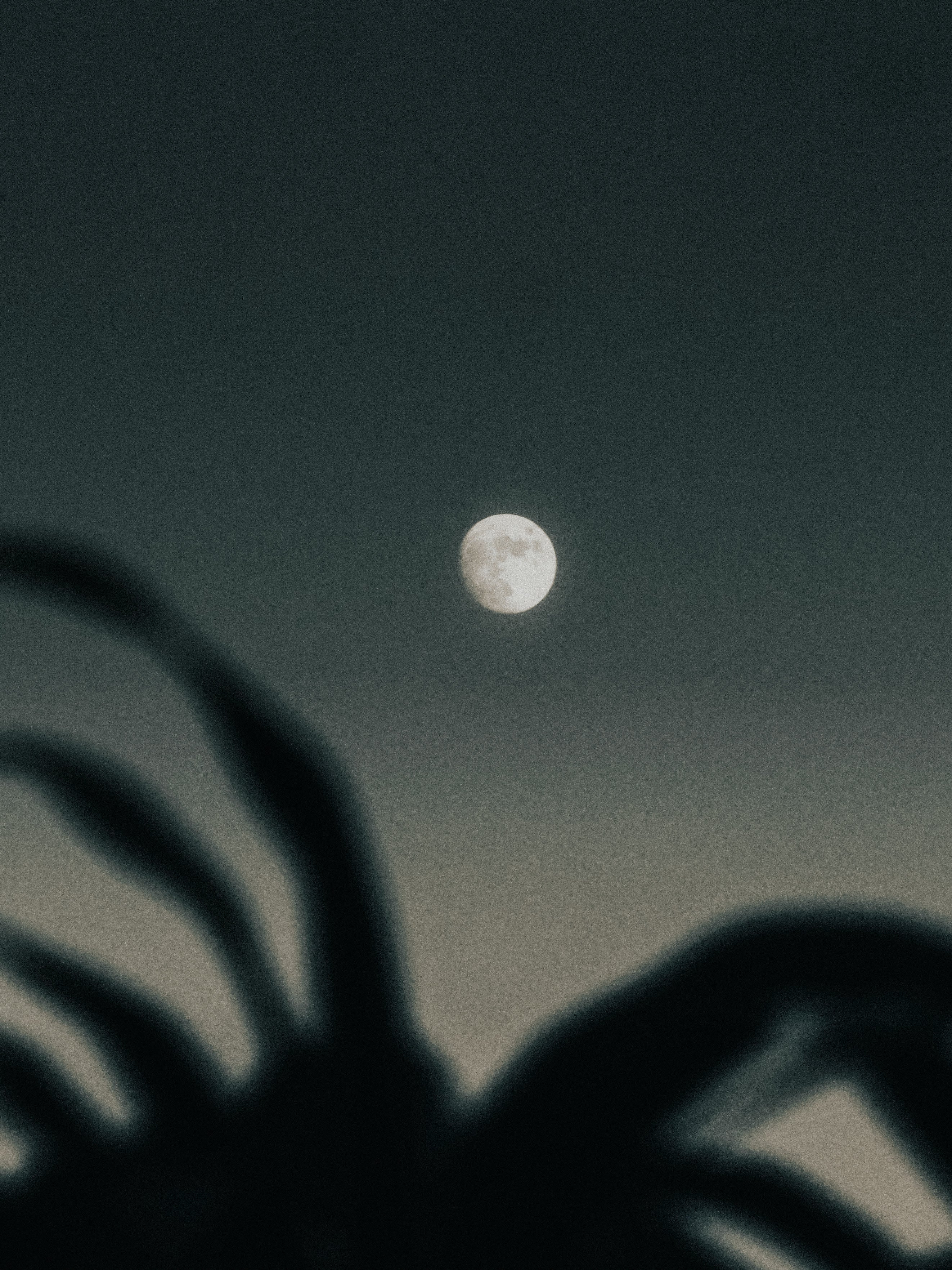 Balam | Inspire Wellness Within – B'alam