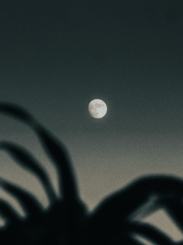 Balam | Inspire Wellness Within – B'alam